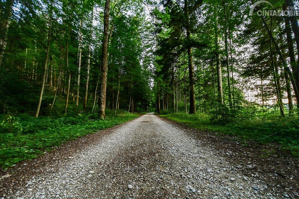 Jalan Sempit – Keuskupanatambua.org